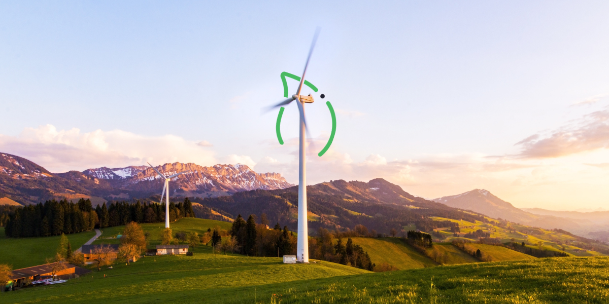 Explore Our Portfolio - YTG